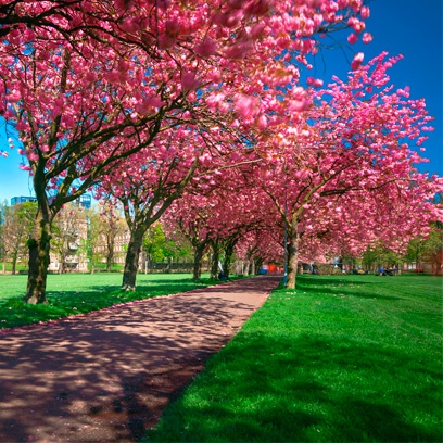 Best UK Parks and Gardens | What to do with kids - Red Online